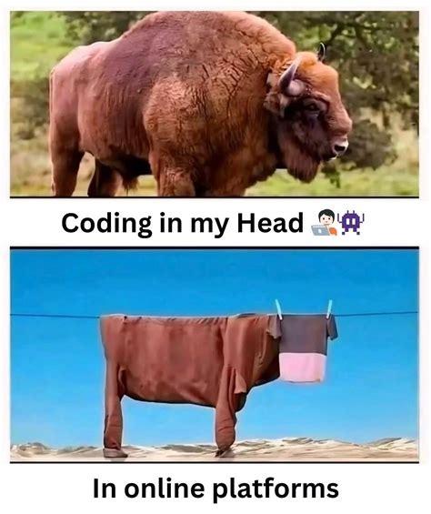 Deepak Gupta On Linkedin Coding Codingmeme Linkdein Programmers India 33 Comments