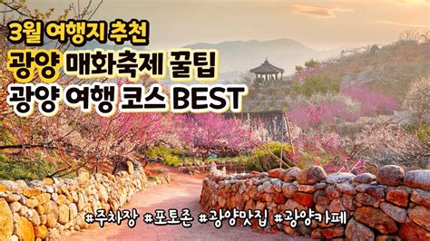 3월 여행지 추천 지금 꼭 가야하는 광양 섬진강 매화축제 주차장 포토존 광양 맛집 리스트 카페 광양 가볼만한곳 여행