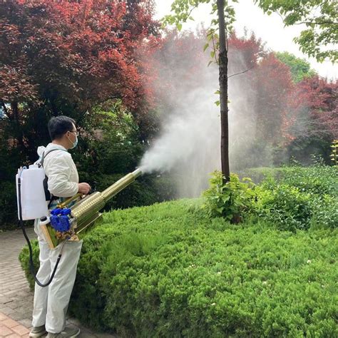 Pest Control Equipment Nebulizacion High Pressure Fogger Pest Control