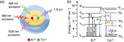 A Proposed Naerf 4 Tm Nayf 4 Core Shell Nanostructure Toward 1 8 μm