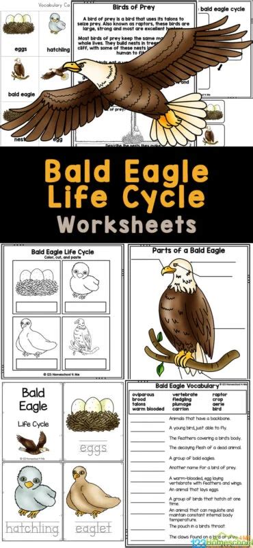 Empty Kindergarten Classroom Clipart Eagle