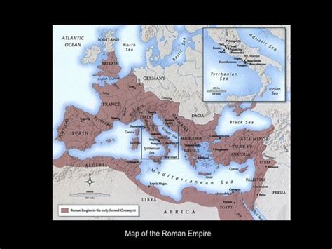 Sex And Gender Photos Flashcards Quizlet