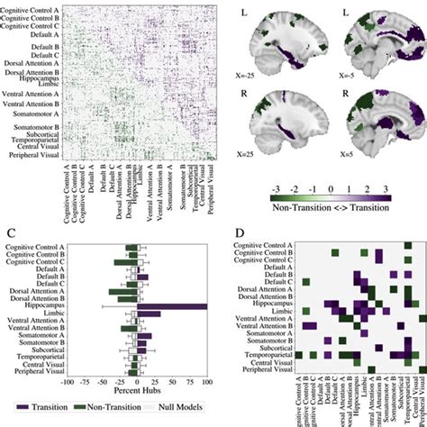 Patterns Of Functional Connectivity In The Brain Are Distinct In Download Scientific Diagram