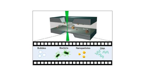 Characterization Of Nanomaterials Using In Situ Liquid Cell Transmission Electron Microscopy A
