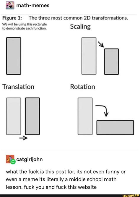 E Math Memes Figure 1 The Three Most Common 2d Transformations
