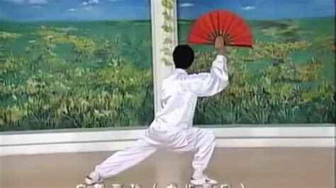 邱慧芳85式背面演示 邱慧芳演练85式太极拳 文秘苑图库