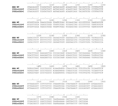 Regional And Sequence Detail Of Mutant Human Beta Globin Hbb Gene Download Scientific