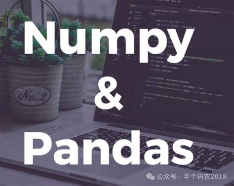 Python数据转换：从pandas到numpy转换 阿里云开发者社区