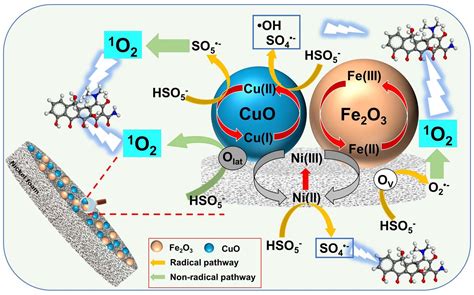 Peroxymonosulfate Activation By Cuo Fe2o3 Modified Ni Foam A 1o2 Dominated Process For