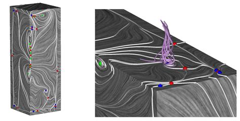 Scenario Surface Topology Fantom Field Analysis Using Topological