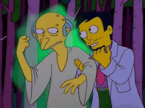 Mr Burns Mr Burns Injection  Mr Burns Mr Burns Injection