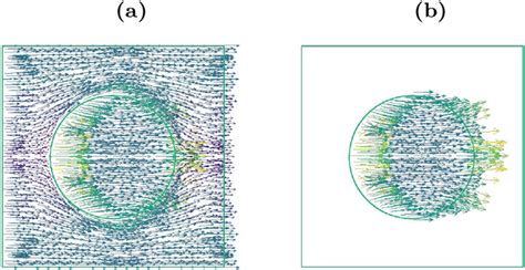 Polarization Electric Field And Electric Field Distortion Due To The