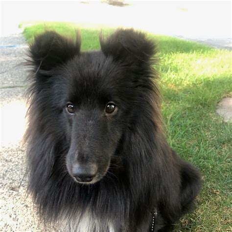 Akedolr9s6nxrkuzrurprurh55omsceoqivels1fohdbw4ms900 C K C0x00ffffff No Rj