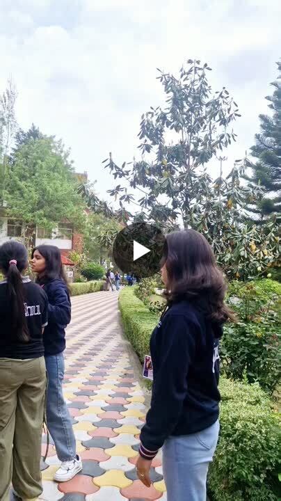 Grafest25 Codingchallenge Hackathon Icpc Developers Codeathon