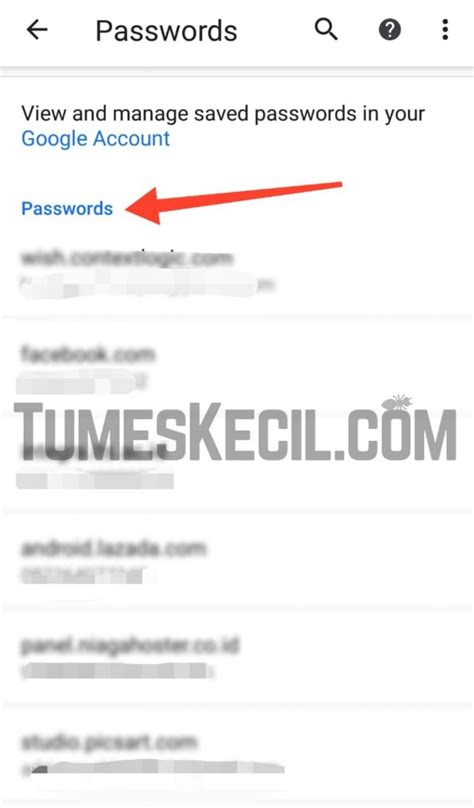 6 Cara Melihat Password Gmail Yang Lupa Tanpa Reset Password Laptop Android IPhone Mac