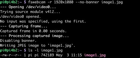 RESOLVED Webcam Works With Raspberry Pi OS Not Seen By OctoPrint Webcams OctoPrint