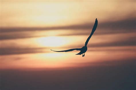 A Community Free From Sexual Harm Stop