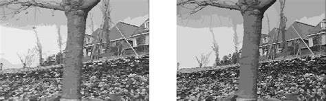 Figure 15 From A Cellular Coevolutionary Algorithm For Image