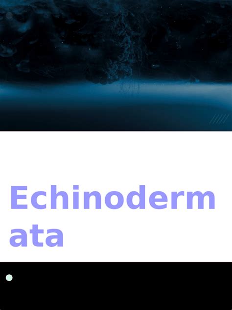 Echinodermata Pdf