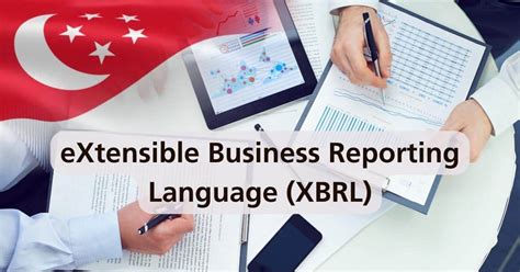 Extensible Business Reporting Language Xbrl Business Compendium