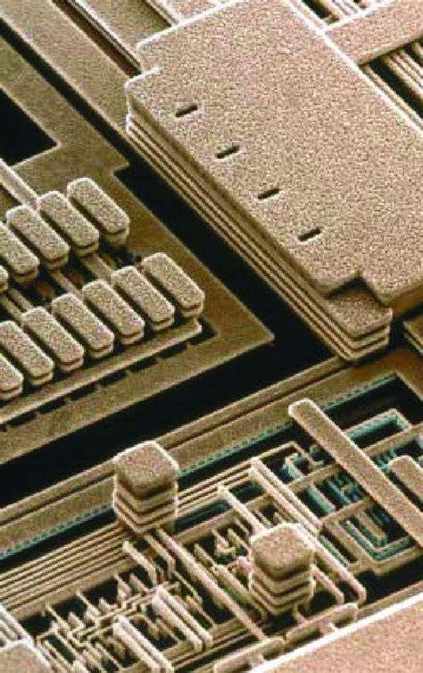 Scanning Electron Micrograph Of Part Of Ic Download Scientific Diagram