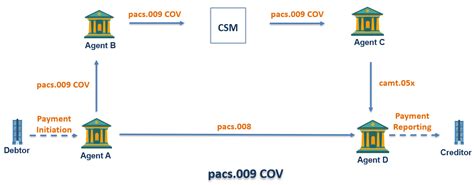 Demystifying Pacs 009 Message Variants