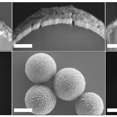 HR SEM And FIB SEM Images Of Various Film Morphologies And Thicknesses Download Scientific