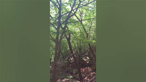 등산은 도대체 왜 하는 걸까 Shorts Shortvideo 등산 산 Youtube