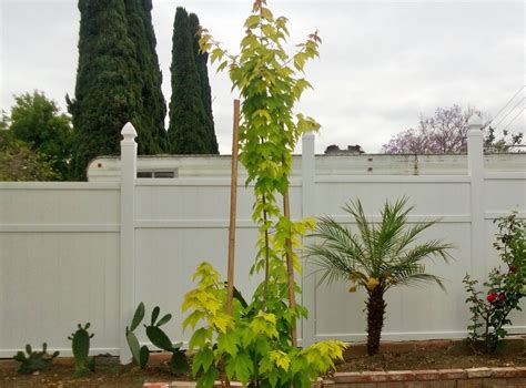 444 Best Sfw 3 Images On Pholder Sfw Redheads Sfw Next Door Girls