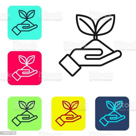 흰색 배경에 고립 된 환경 보호 아이콘의 손에 검은 라인 식물 종묘와 묘목 묘목을 심는다 생태 개념 색상 정사각형 단추로 아이콘을 설정합니다 벡터 3차원 형태에 대한 스톡