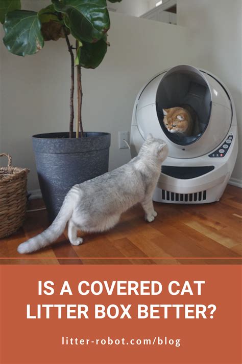 6 Best Cat Scratching Posts And Alternatives Artofit