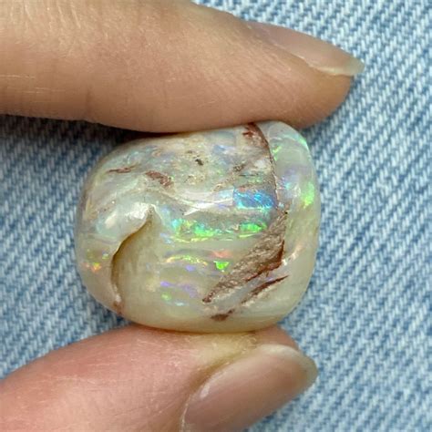 Opalised Fossil Shells For Selection Australian Opal Gem Shells Fossils And Minerals