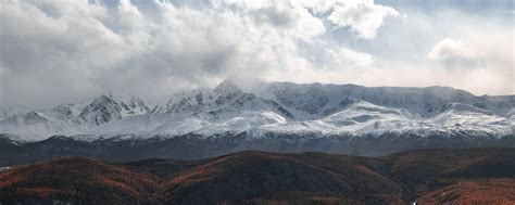 Воздух свободы | Природа России 2025 | ВКонтакте