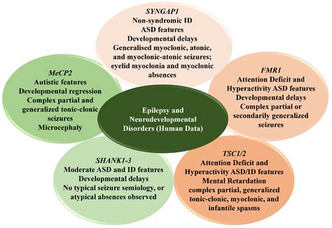Epilepsy Seizure Disorder