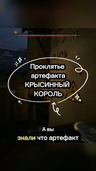 Проклятье артефакта Крысинный король в Сталкер 2 Stalker2 Stalker Youtube