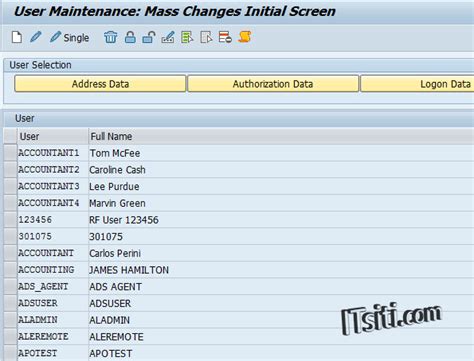 How To Assign Role S To Multiple Users In SAP How To Assign Role S To Multiple Users In SAP