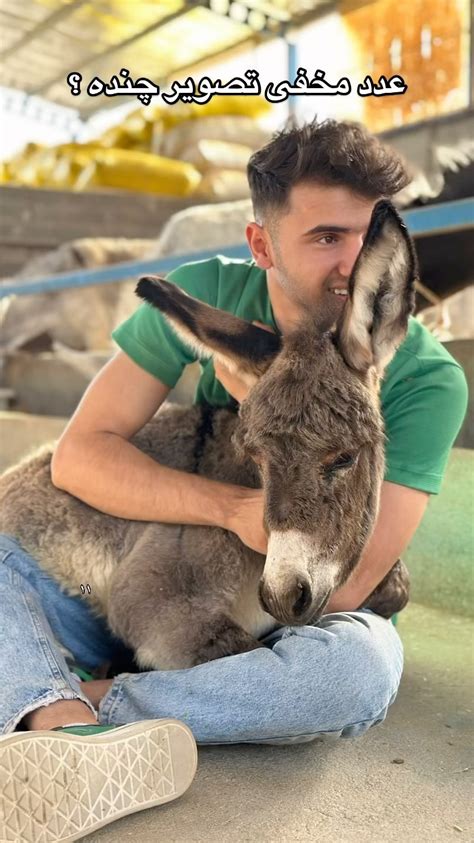 ‎احمدرضا شهرکن فروش شیر الاغخرشیرالاغشیرخر‎ ‎یارو میگه چرا هکش