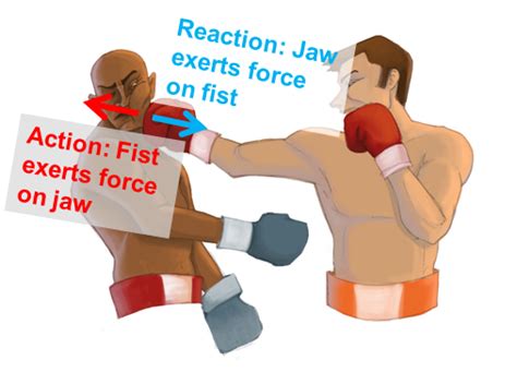 Physics In Animation Action Reaction Animator Island