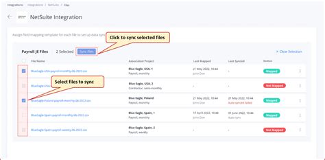 netsuite api integration