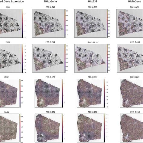 The Top Four Predicted Genes With The Highest Mean −log10 P Value In