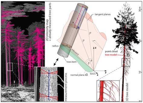 Remote Sensing Free Full Text A Practical Approach For Extracting Tree Models In Forest