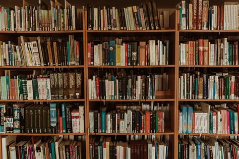 初学者也能看懂的 Vue3 源码中那些实用的基础工具函数