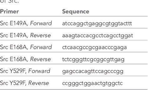 Table 1 From A Back Door Insight Into The Modulation Of Src Kinase