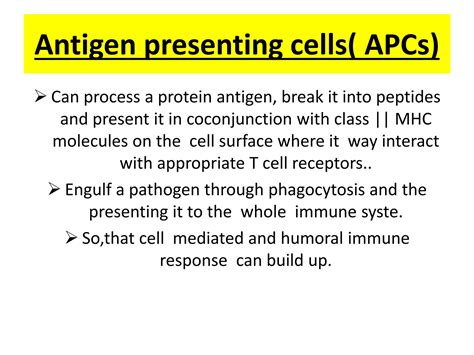 Antigen Presenting Cells Apcs Pptx