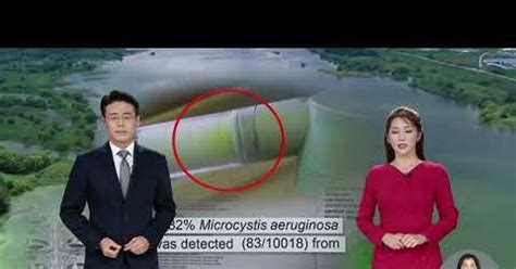 단독 대구 수돗물 필터 최첨단 검사에서도 남세균 확인