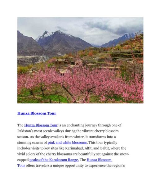 Hunza Blossom Tour Hunza Cherry Blossom Tour Skardu Blossom Tour Pdf