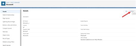 Delete Custom Object Salesforce