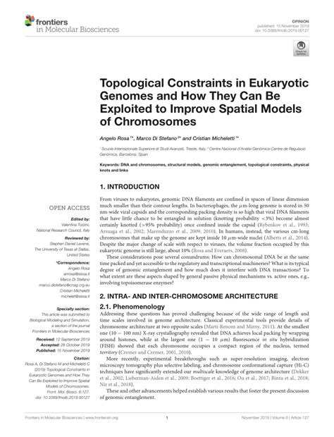 pdf topological constraints in eukaryotic genomes and how they can be