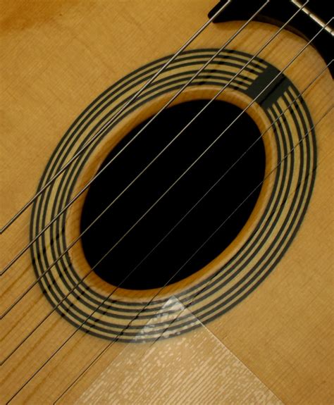 2016 Stringphonic Django 503