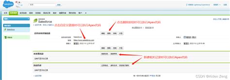 Salesforce基础 认识apexsalesforce Apex Csdn博客